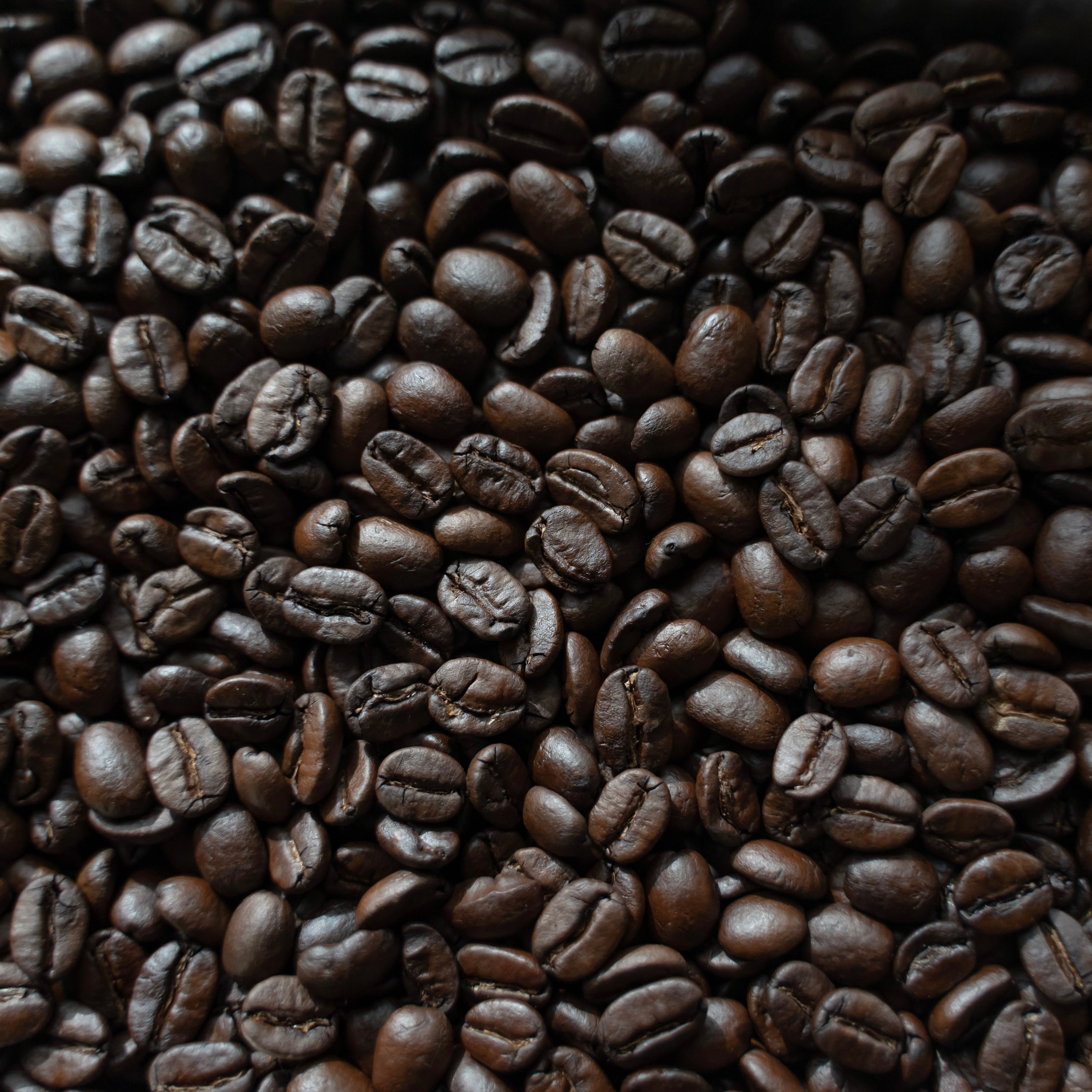 COFFEE BEANS - コーヒー豆 | CATEGORY / Roku bun no Ichi coffee